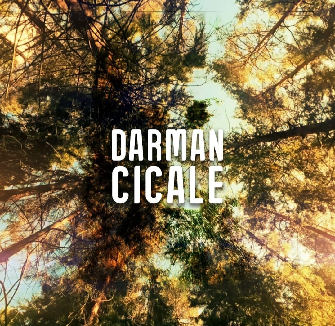 MUSICA - "Cicale”, il nuovo singolo di Darman