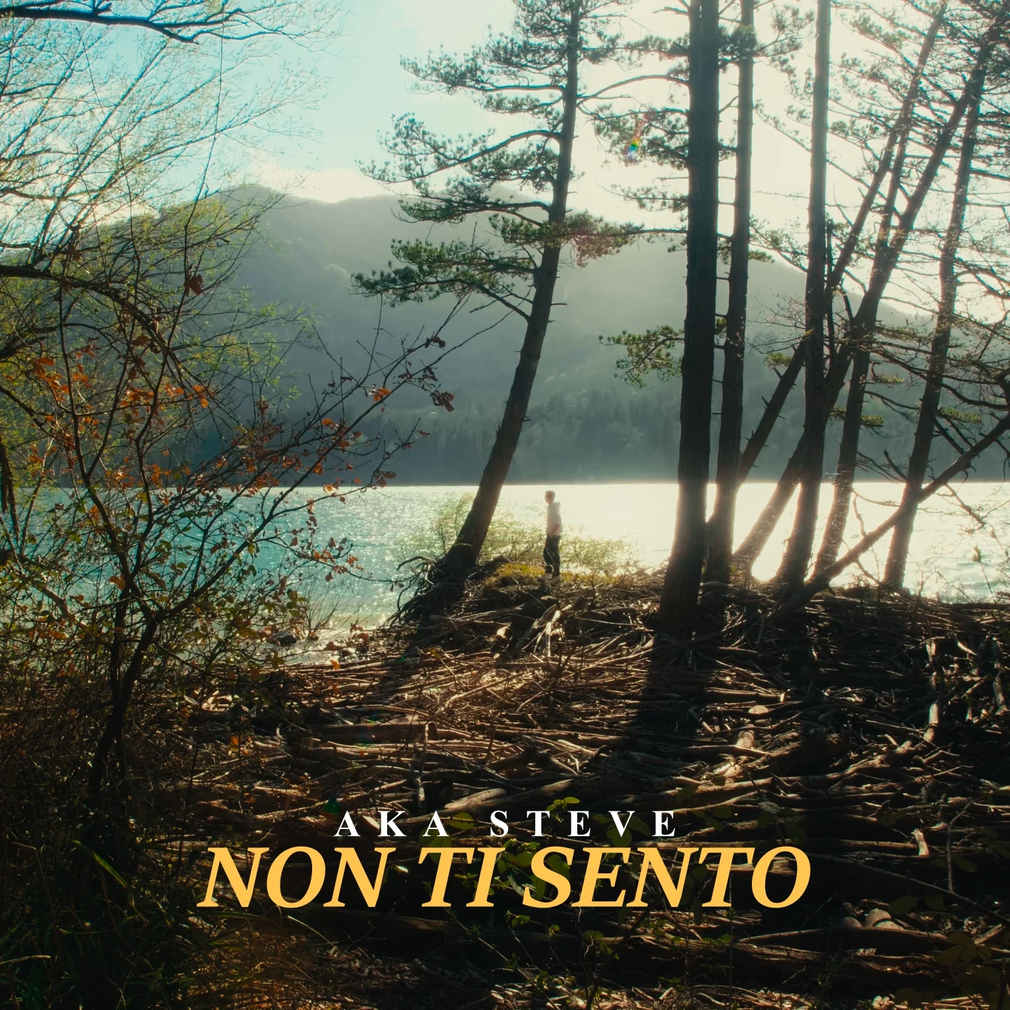 MUSICA - "Non ti sento", il nuovo singolo di Aka Steve